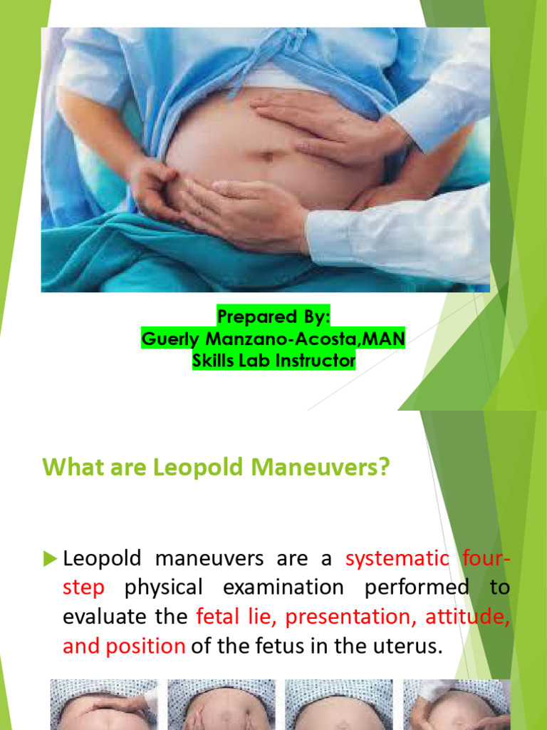 Leopolds Maneuvers | PDF | Science & Mathematics