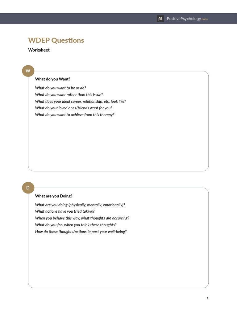 WDEP Questions | PDF