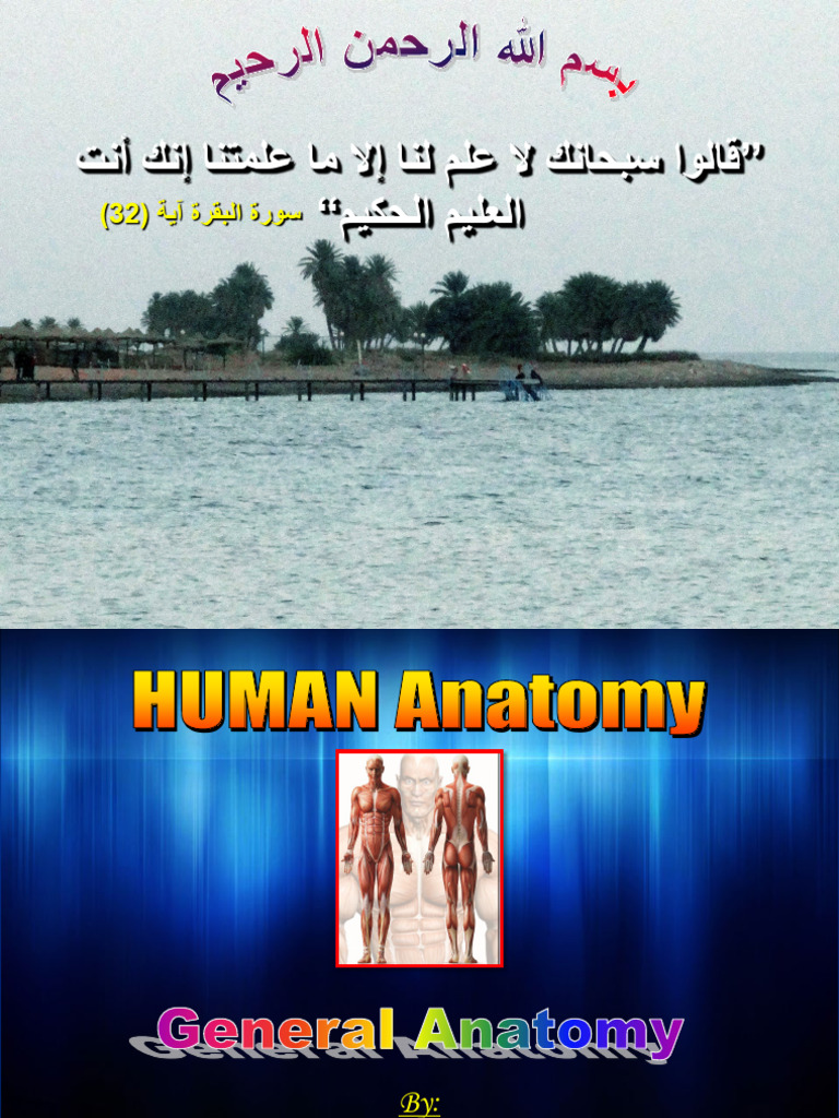 Heart Anatomy for Medical Students | PDF | Heart Valve | Atrium (Heart)