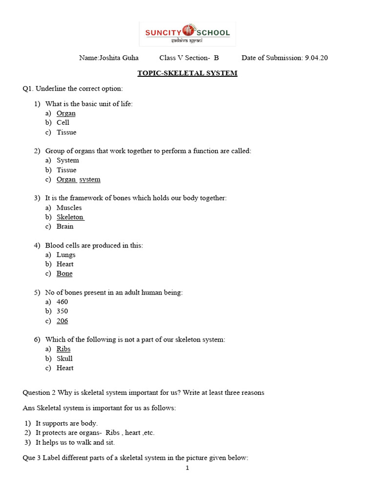 Skeletal System ASSIGNMENT | PDF | Wellness | Science & Mathematics