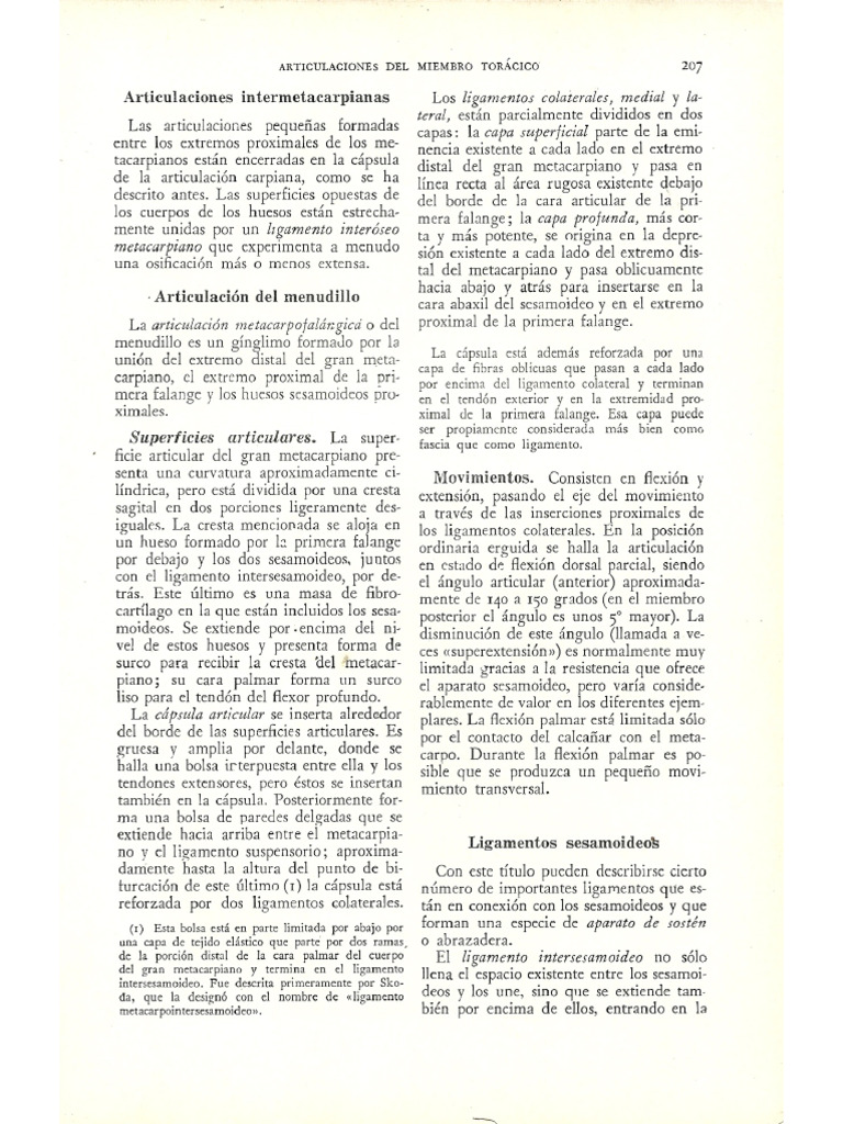 Artro Art. Del Men. | PDF