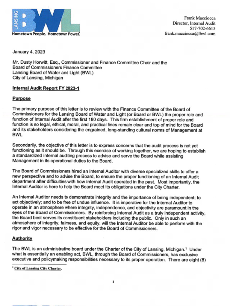 Internal Audit Process Report 01-04-2023 Final | PDF