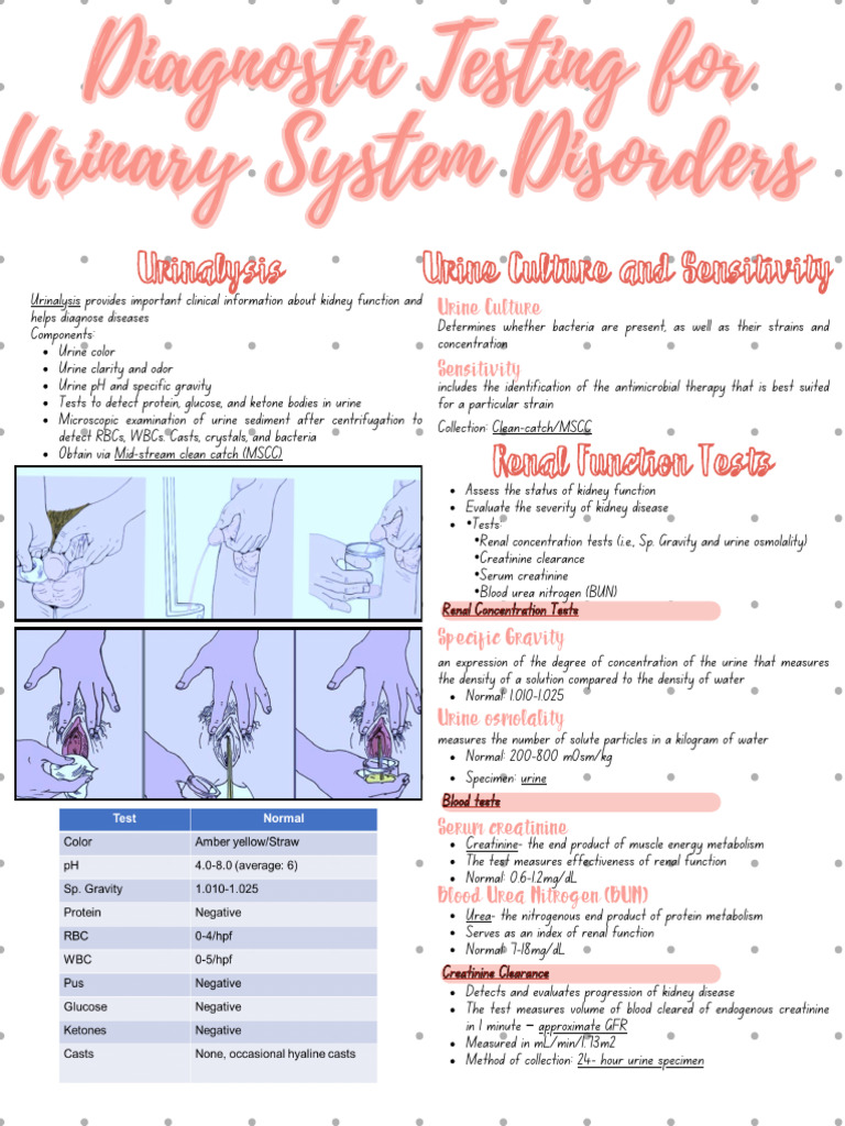 Diagnostic Testing For Urinary System Disorders | PDF