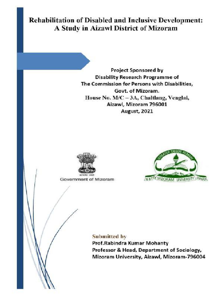 Disability Project Report Sharable | PDF