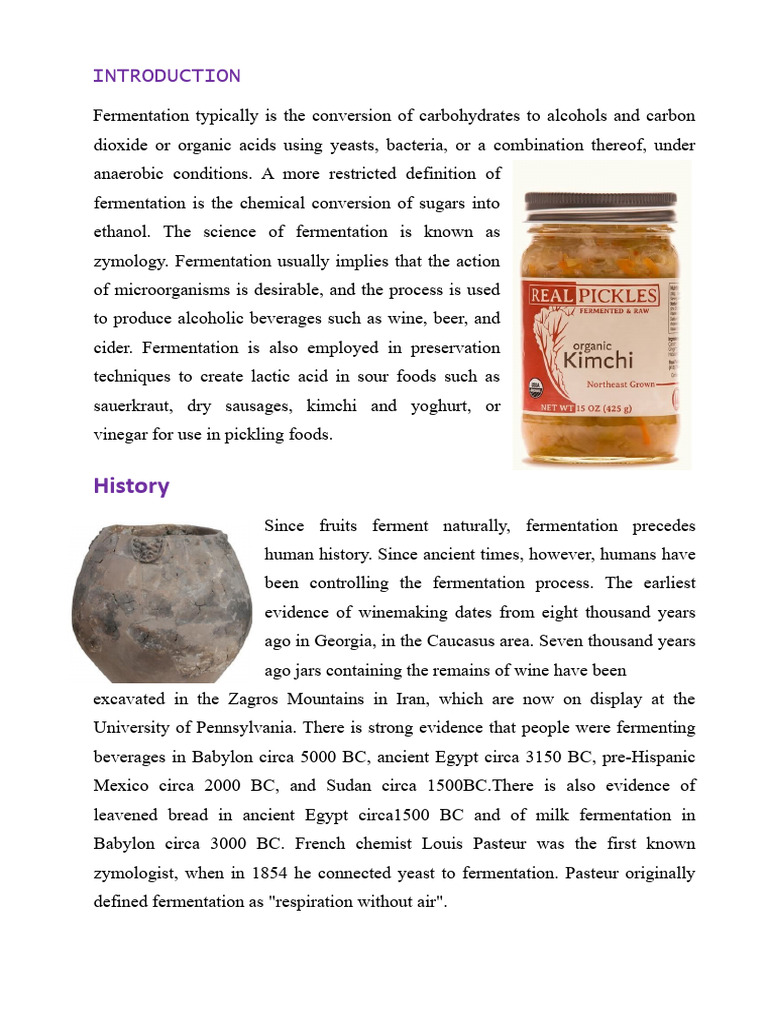 Fermentation of Carrot Juice Wheat Flour Gram Flour | PDF ...