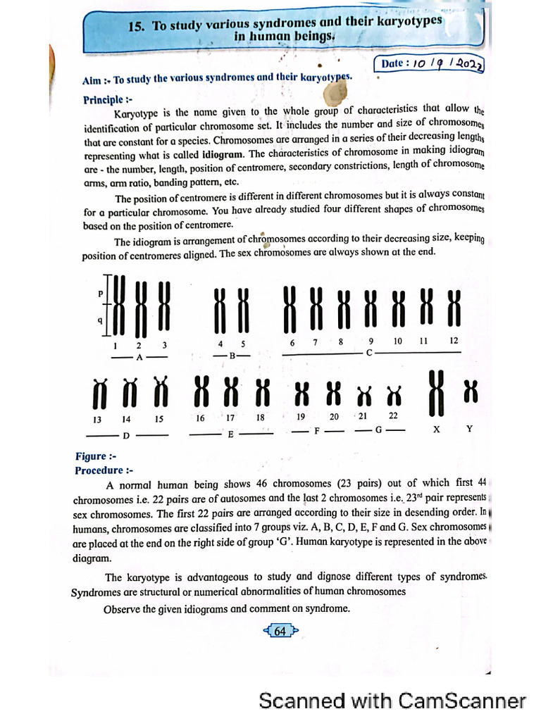 Experiment No.15 | PDF