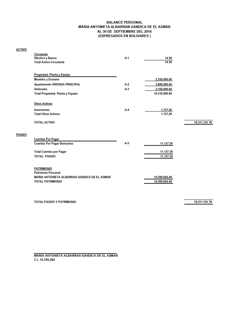Balance Personal | Descargar gratis PDF | Pagos | Industrias de servicio
