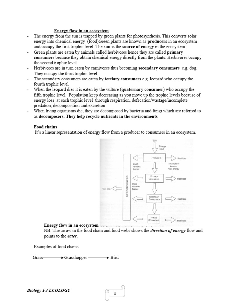 Energy Flow and Trophic Levels in Ecology | PDF | Science & Mathematics