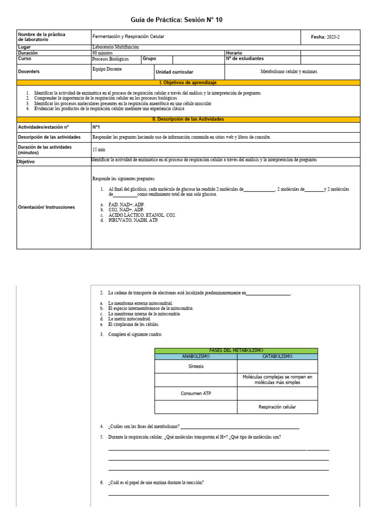 Guía de Práctica N°10 - PROBIOborrraloooooooobstreticia | PDF | Respiración celular | Trifosfato ...