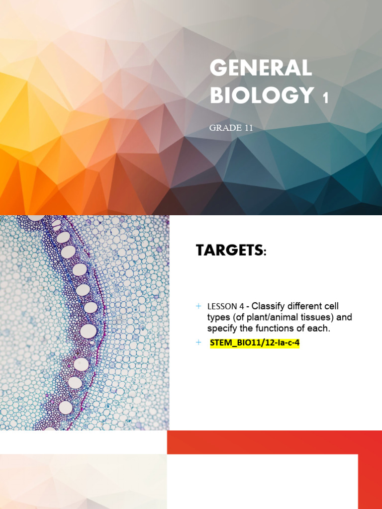 Lesson 4 Cell Types and Tissues | PDF | Tissue (Biology) | Epithelium