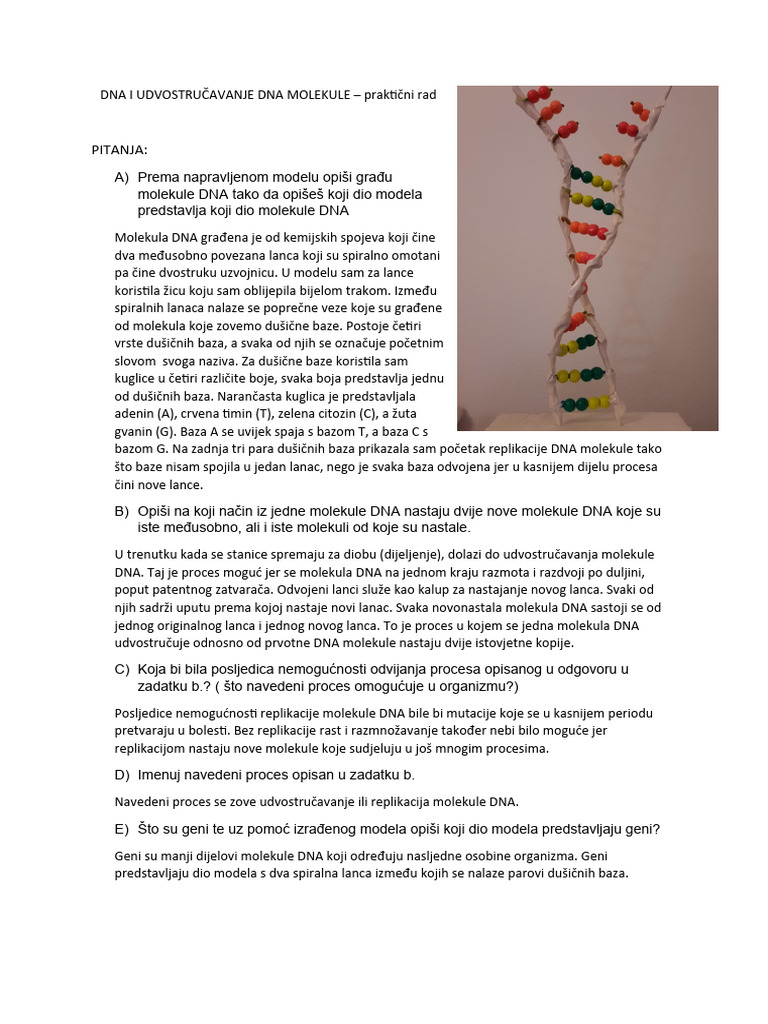 DNA I UDVOSTRUČAVANJE DNA MOLEKULE | PDF