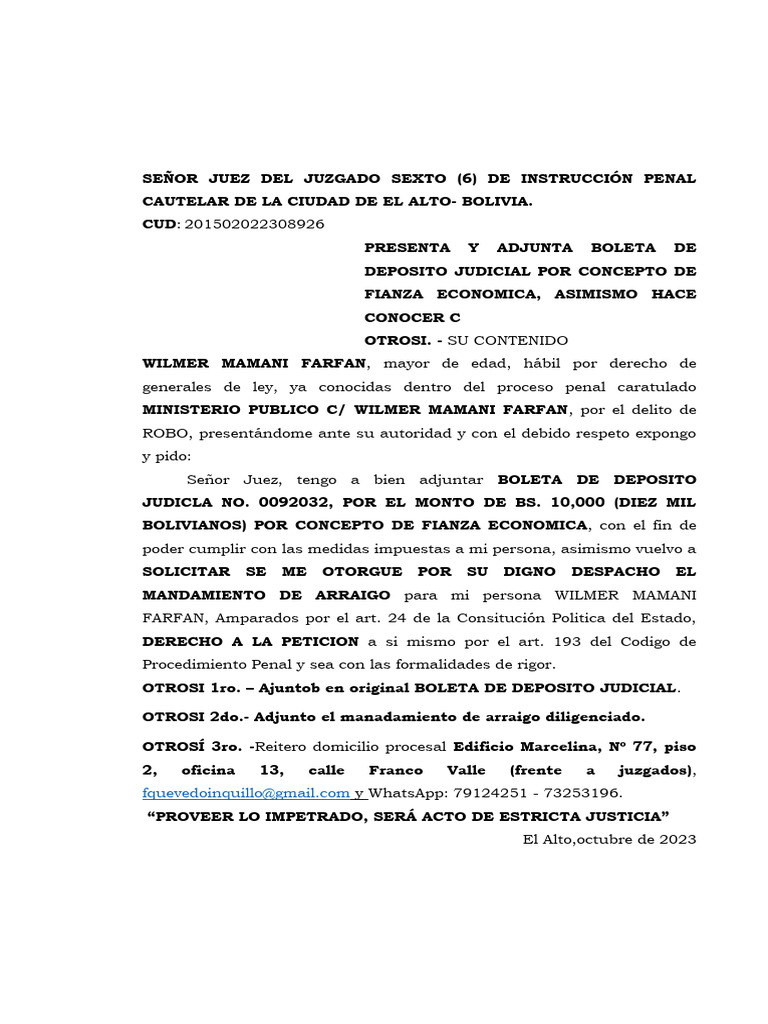 Boleta Judicial Wilmer | PDF