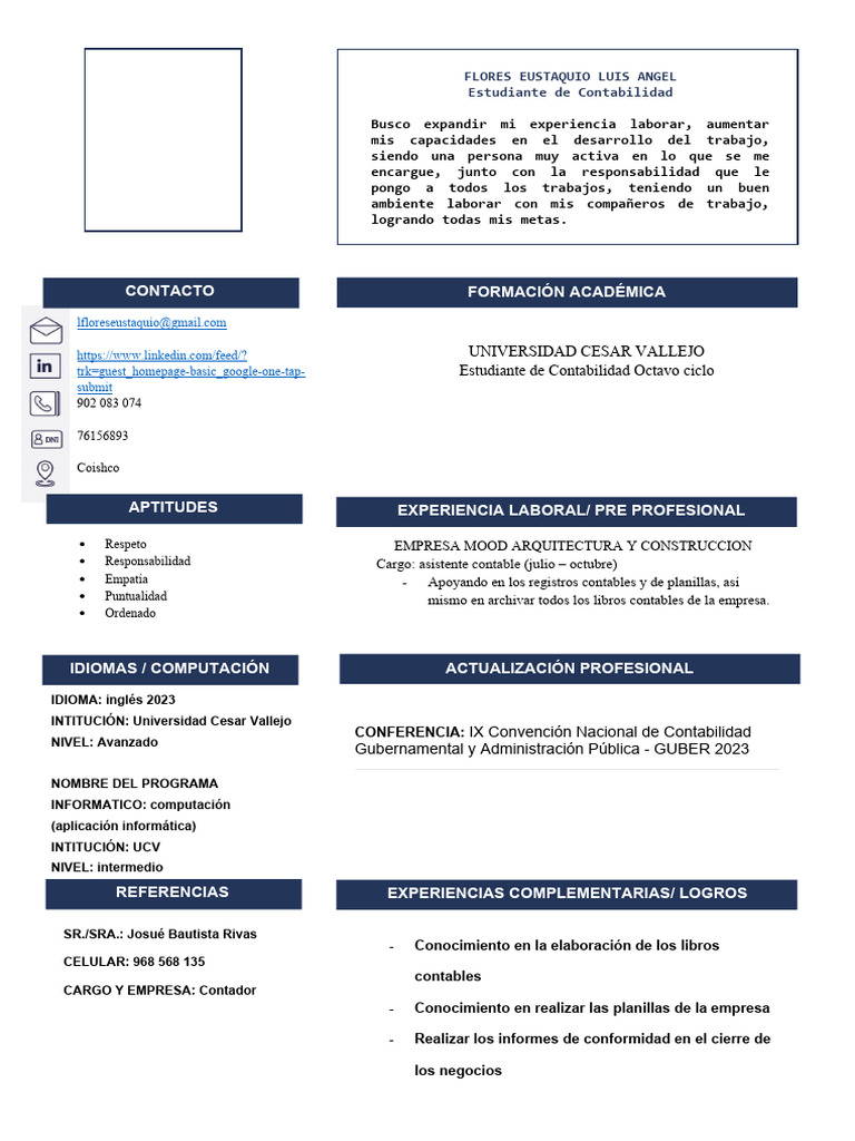 Formato CV | Descargar gratis PDF | Contabilidad | Business