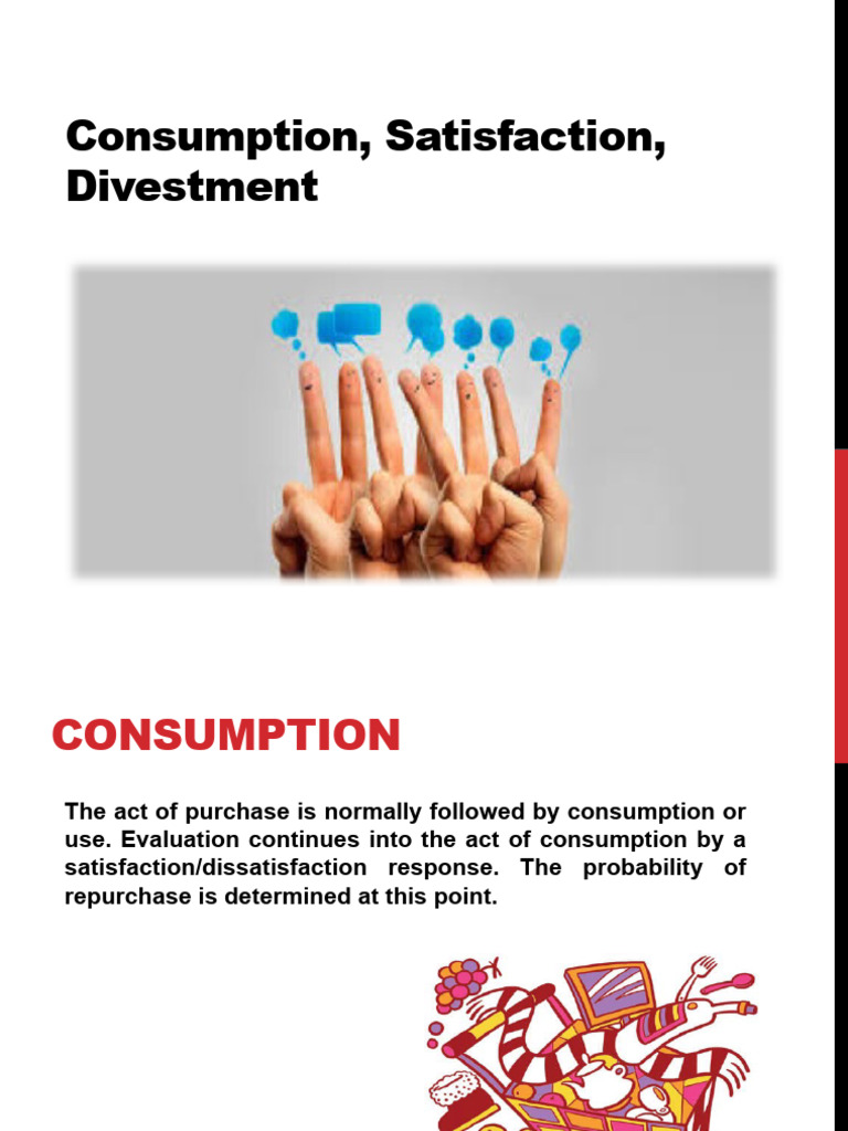 Customer Satisfaction and Divestment Insights | PDF | Customer ...
