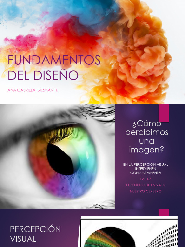 FUNDAMENTOS4 | PDF | Percepción | Percepción visual
