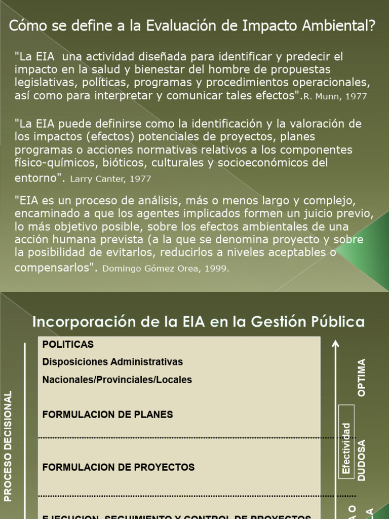 02-Definición de EIA (1) | PDF
