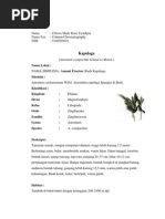 Sirupus Simplex | PDF