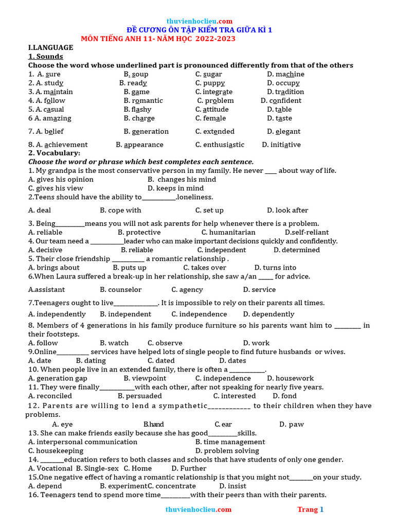 De Cuong On Tap Tieng Anh 11 Giua HK1 Nam 2022 2023 | PDF | Adolescence | Waldorf Education