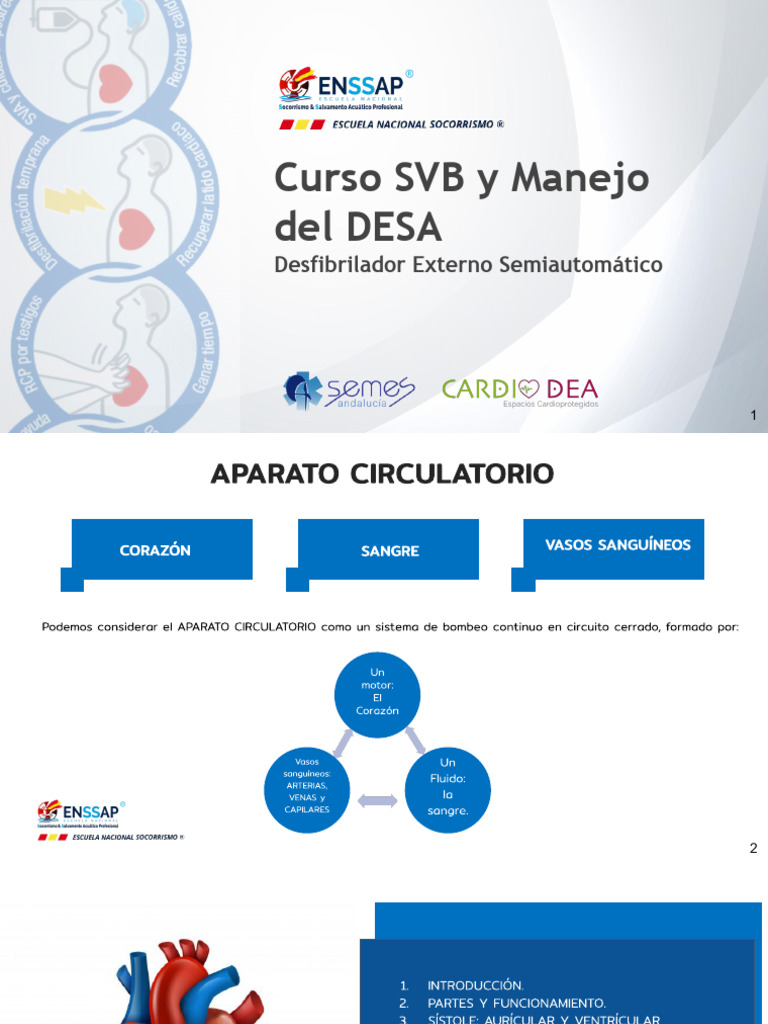 SVB - Desa | PDF | Reanimación cardiopulmonar | Enfermedades y trastornos