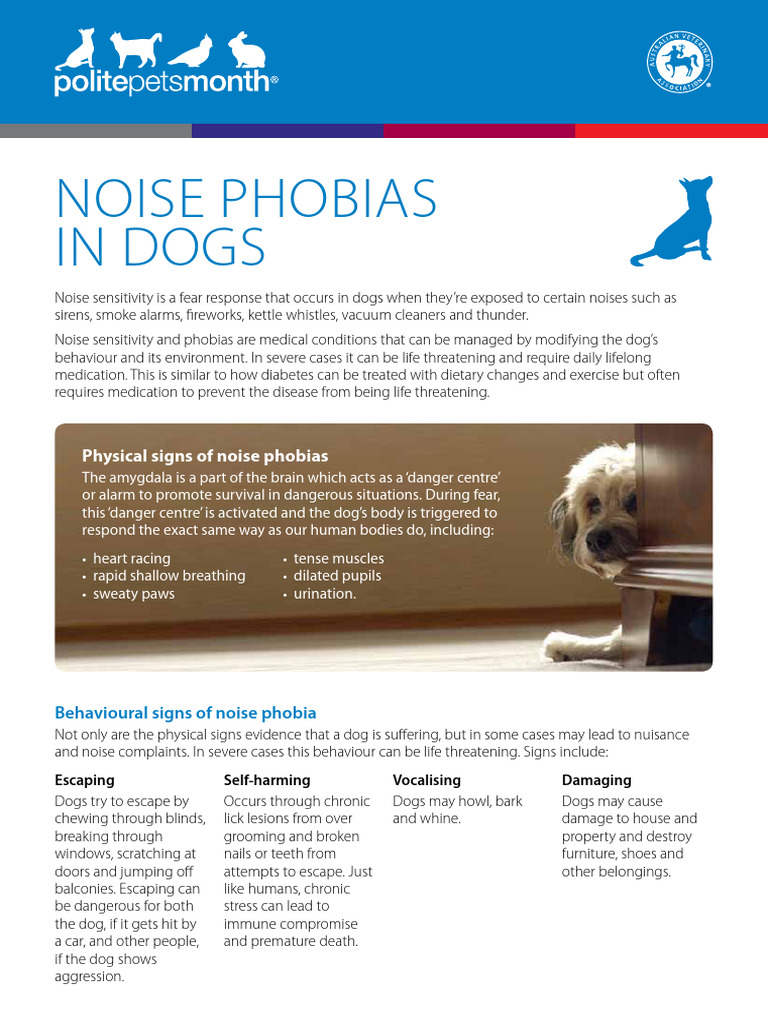 Noise Phobias in Dogs | PDF | Phobia | Dogs