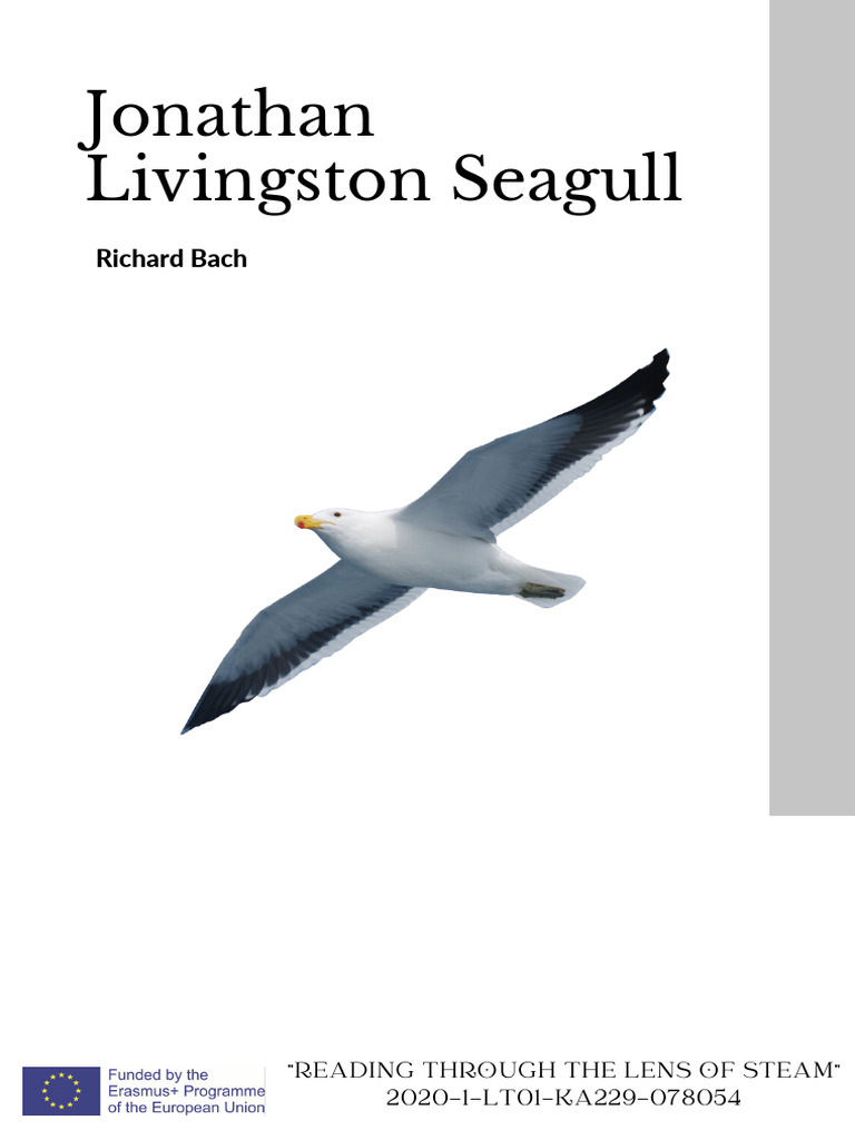 Jonathan Livingston Seagull Pack | PDF | Aircraft | Lift (Force)