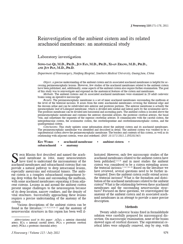 Ambient Cistern | PDF | Anatomical Terms Of Location | Common Carotid Artery