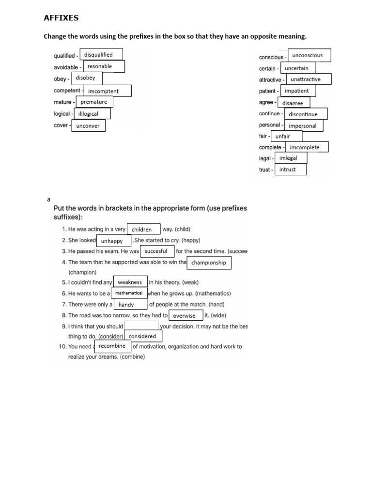 Moodle - Affixes | PDF