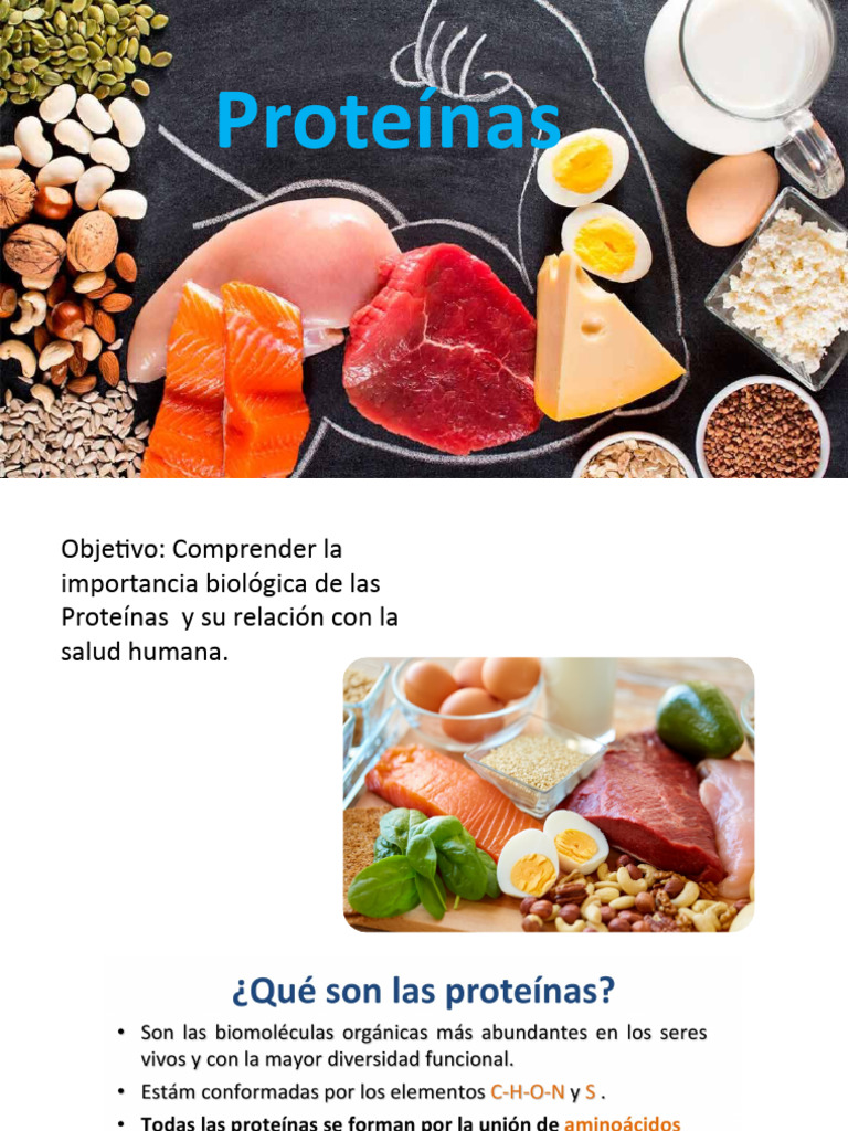 Clase 17 Proteinas | PDF | Estructura proteica | Proteínas