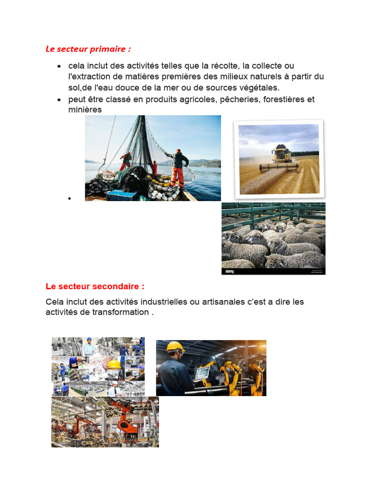 Le Secteur Primaire | PDF