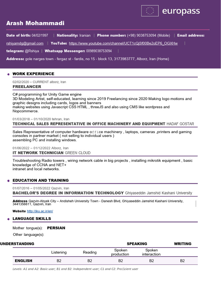 CV - Arash Mohammadi | PDF | World Wide Web | Internet & Web