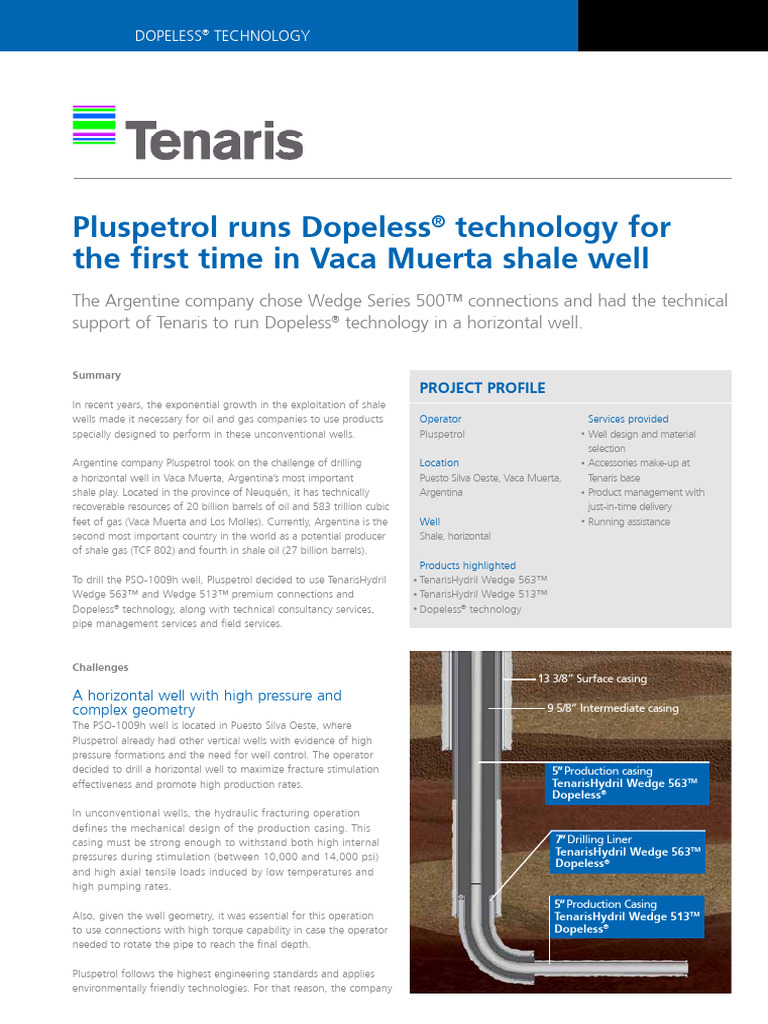 2 Pluspetrol Runs Dopeless Technology For The First Time in Vaca Muerta ...