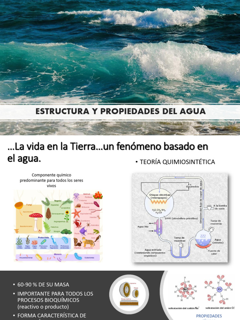 Estructura y Propiedades Del Agua | PDF | Propiedades del agua | Ácido