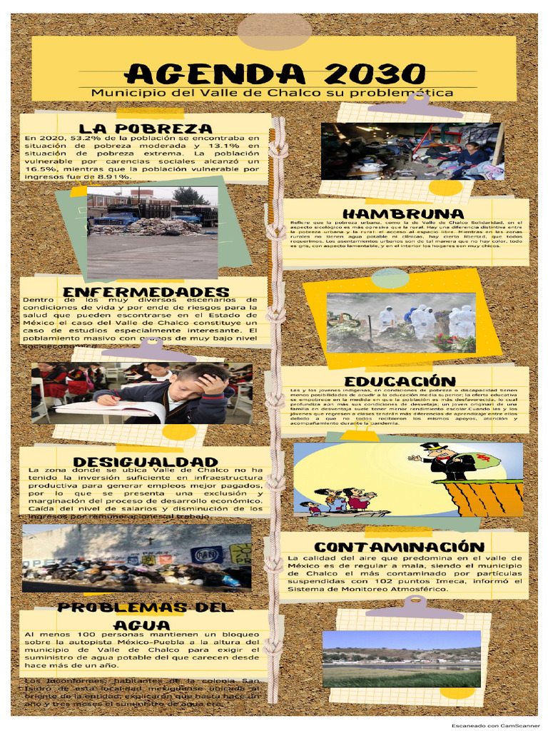 Infografia A de Una Problematica | PDF