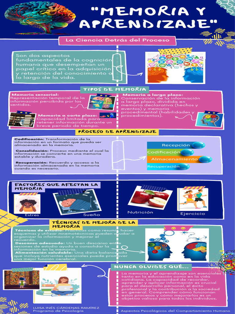 Infografía Memoria y Aprendizaje | PDF | Memoria | Aprendizaje