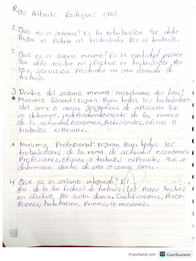 Mapa Conceptual S3 | PDF