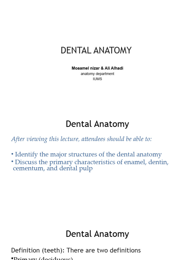 Dental Anatomy | PDF