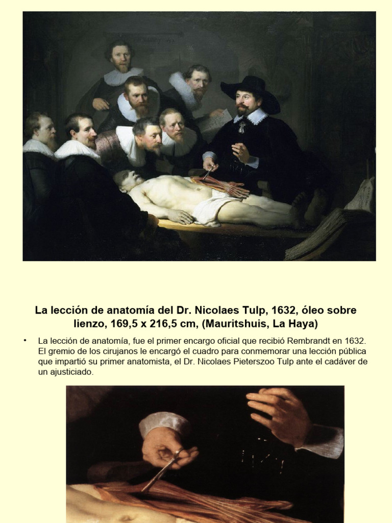 Historia De Anatomia Pdf Fisiología Moralidad