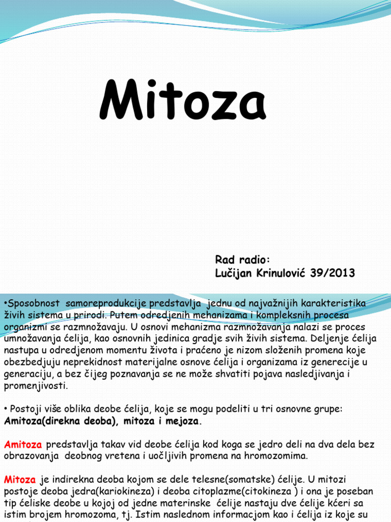 Mitoza Lucijan Krinulovic | PDF