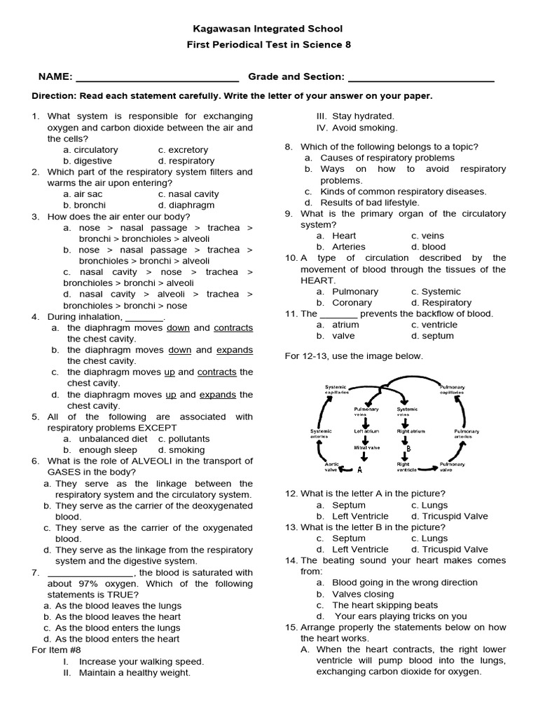 PT - Science 9 - Q1 | PDF | Dominance (Genetics) | Respiratory System