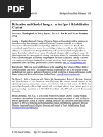 Anterior Cruciate Ligament Return To Sport After Injury (ACL-RSI) | PDF ...