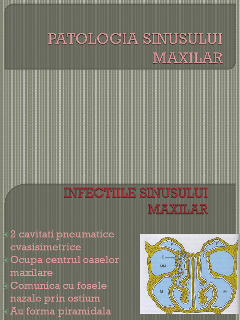 Patologia Sinusului Maxilar | PDF