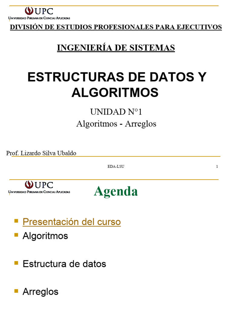 EDA 01 Introduccion Estructuras y Algortimos | PDF | Algoritmos | Informática