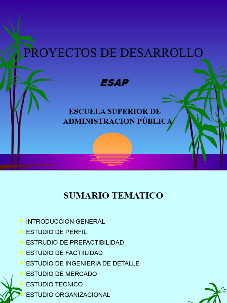 Esap - Proyectos - de - Desarrollo - 2017 | PDF | Marketing | Mercado ...