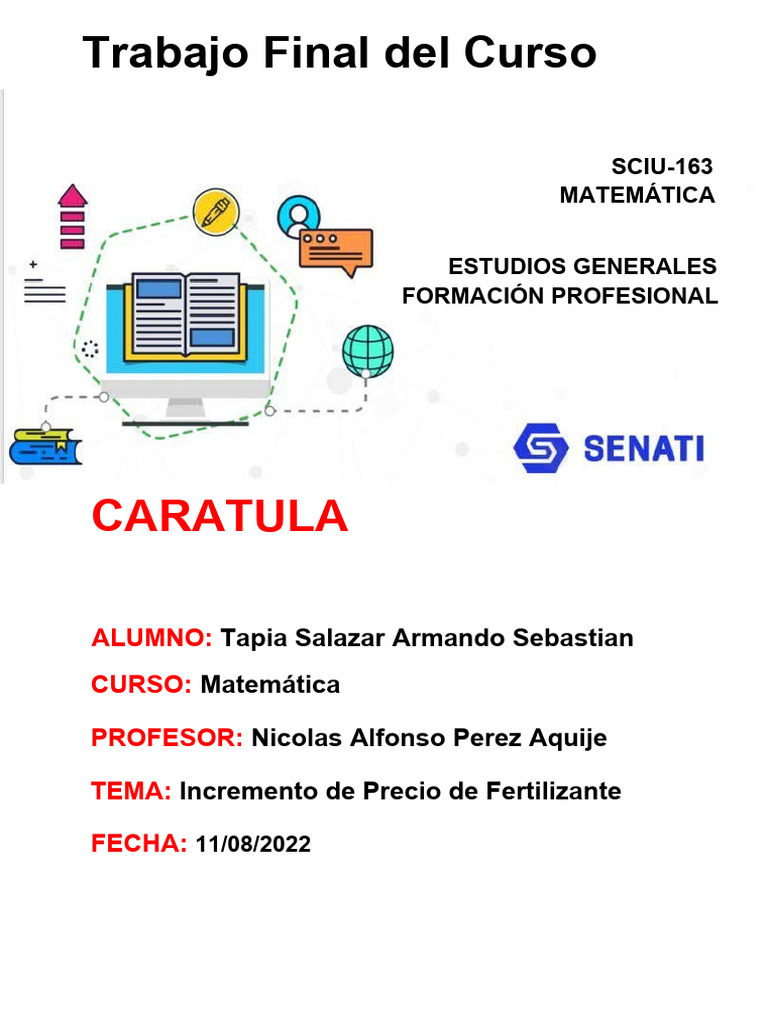 Trabajo Final Matematica | PDF