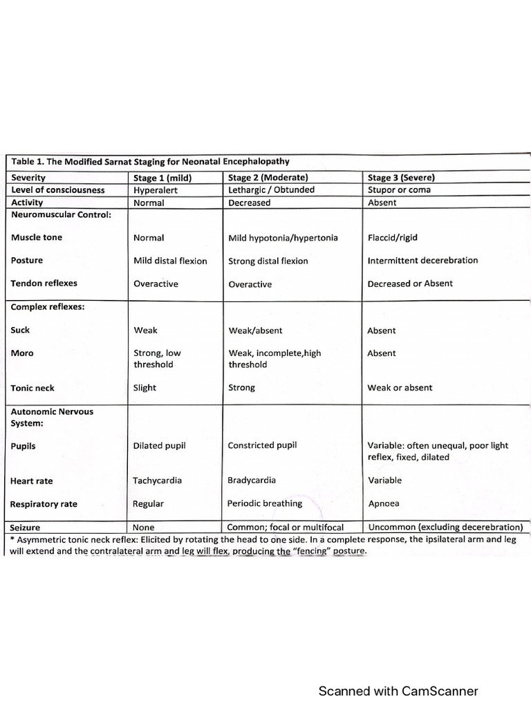 Escala Sarnat Modificada Encefalopatia Hipoxicoisquemica | PDF
