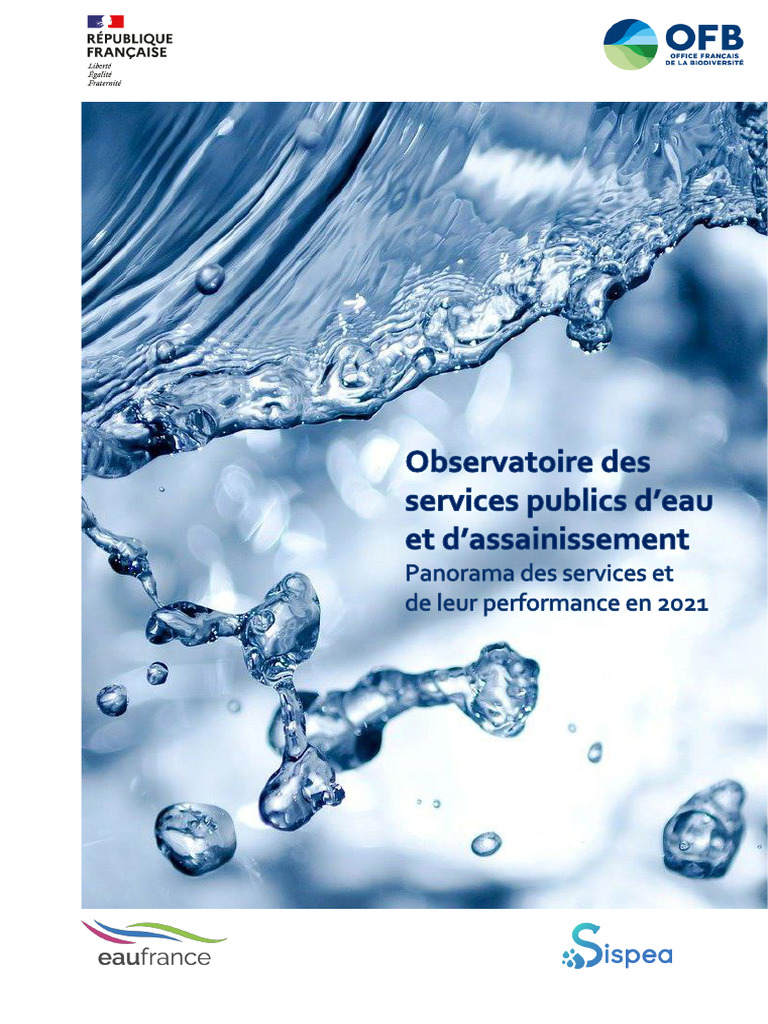 Rapport - Sispea - 2021 - VF Services D'eau Et D'assainissement | PDF