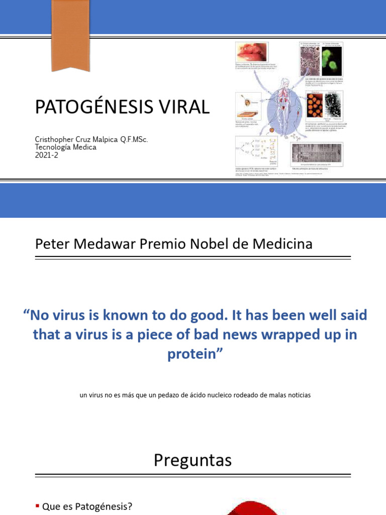 Patogénesis Viral: Mecanismos y Efectos | PDF | Virus | Infección