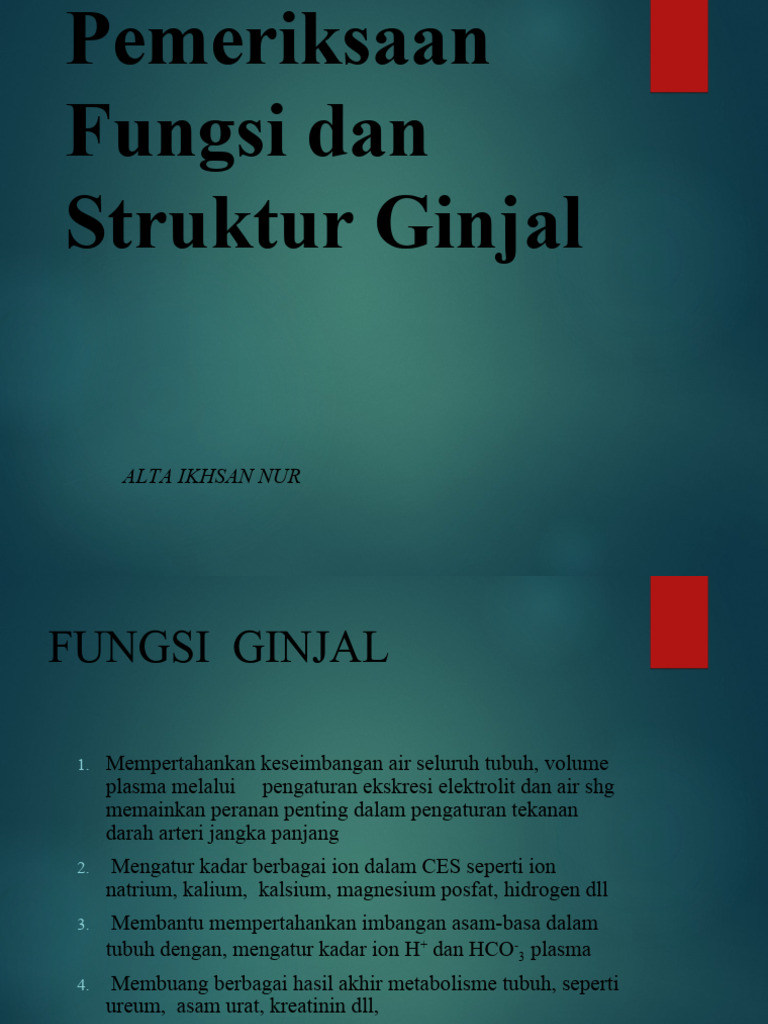 Pemeriksaan Fungsi Dan Struktur Ginjal | PDF