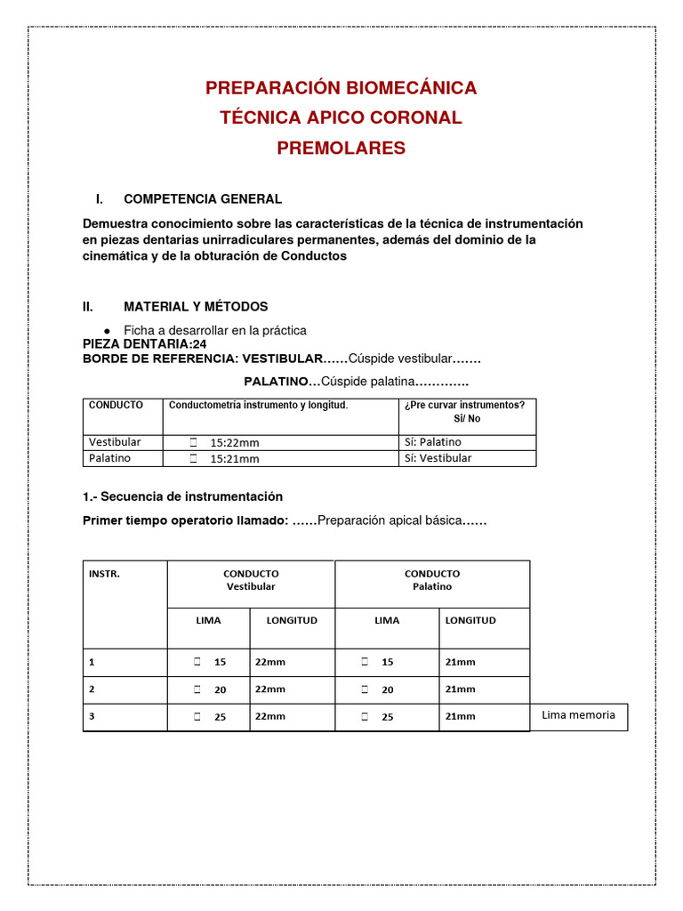 Ficha PBM Apico Coronal-Nadine Madrid Ñaupas | PDF | Tecnología