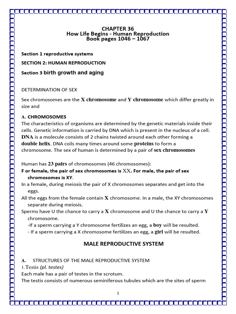 Human Reproduction Unit Review Worksheet | PDF